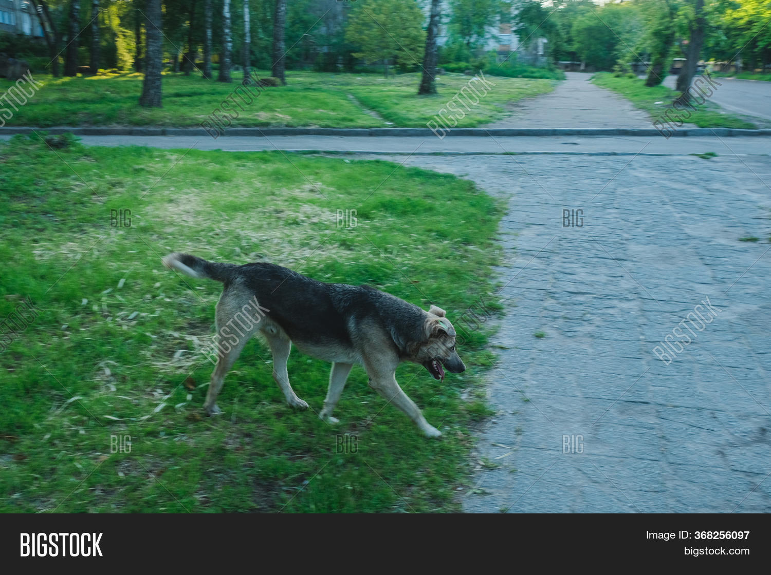 Lonely Homeless Dirty Image & Photo (Free Trial) | Bigstock