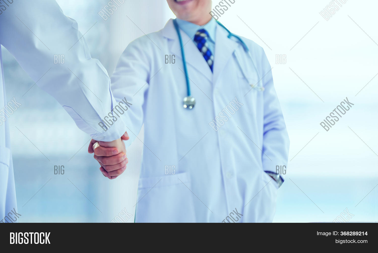 Doctor Shake Hand Image & Photo (Free Trial) | Bigstock
