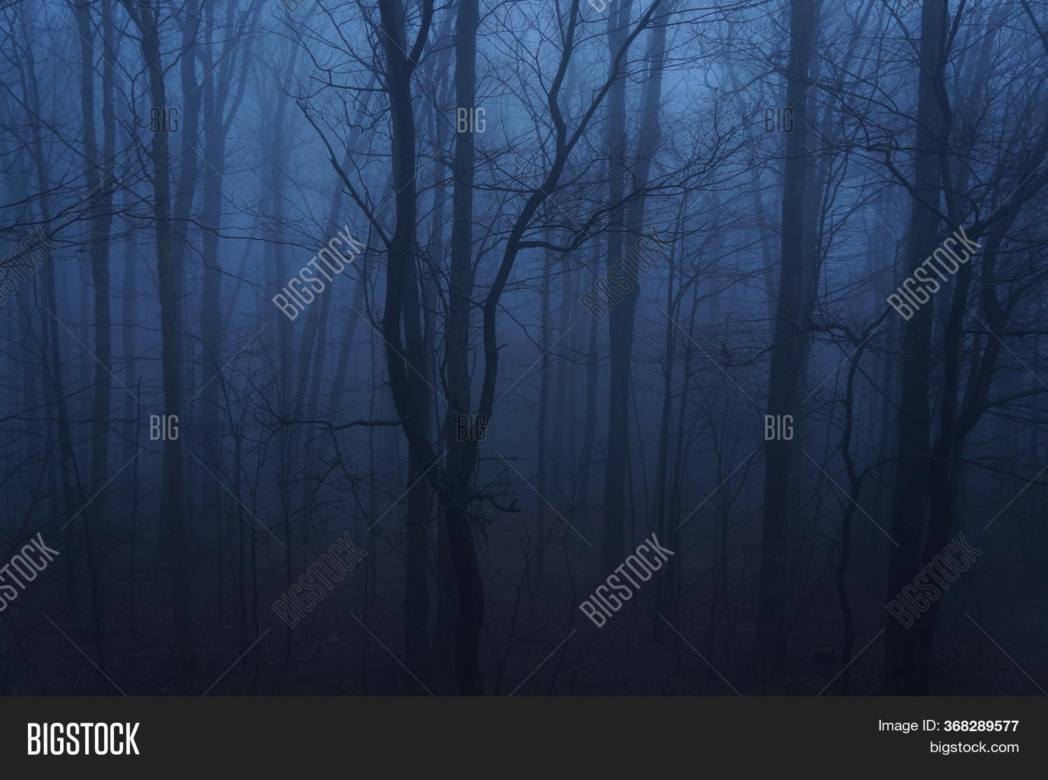 Blue Foggy Haze Image & Photo (Free Trial) | Bigstock