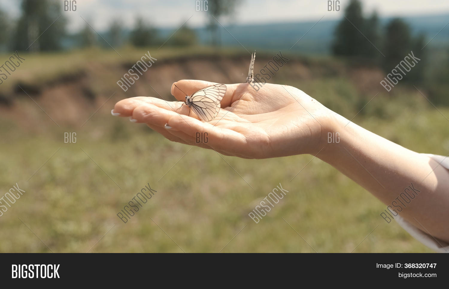 Girl Holding Butterfly Image & Photo (Free Trial) | Bigstock
