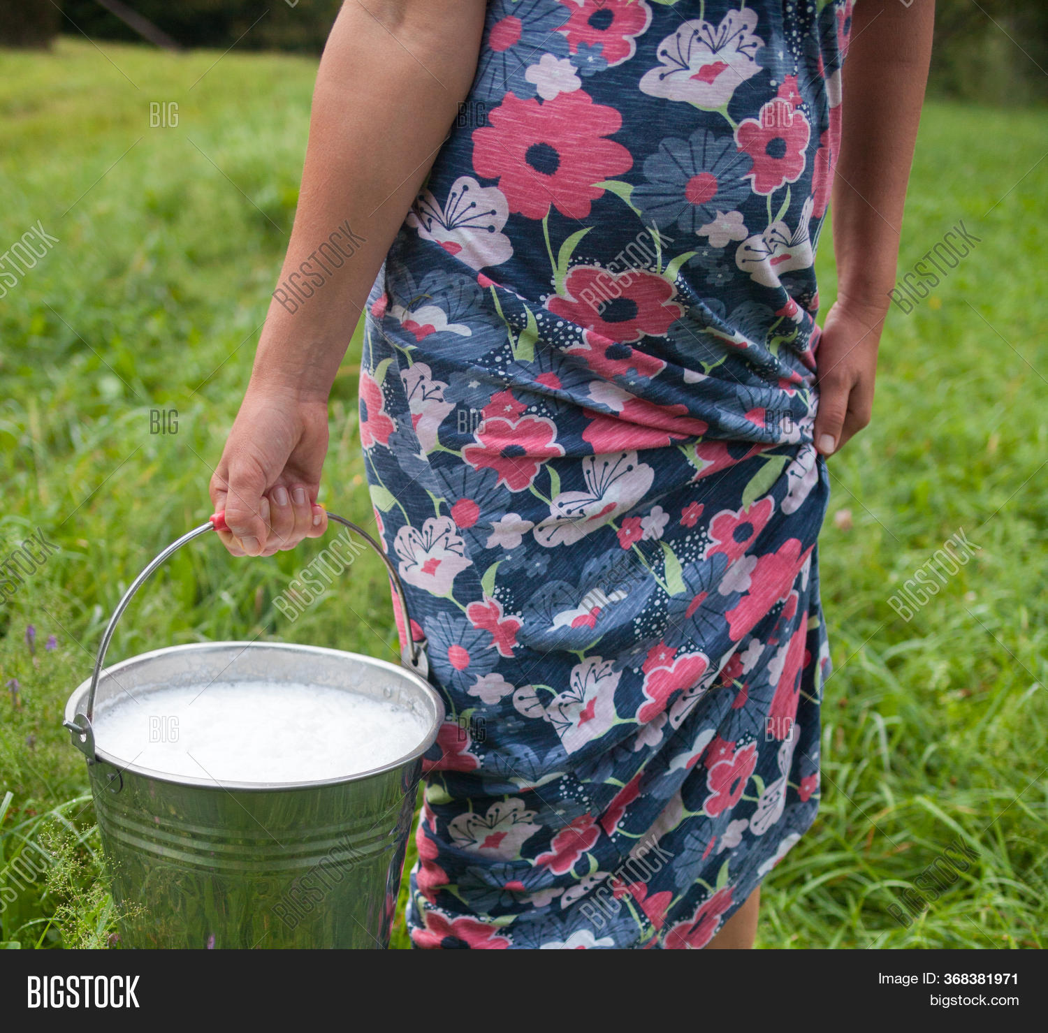 Milkmaid Holding Metal Image & Photo (Free Trial) | Bigstock