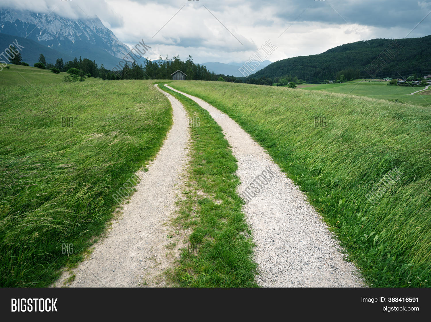 Winding Path Through Image & Photo (Free Trial) | Bigstock
