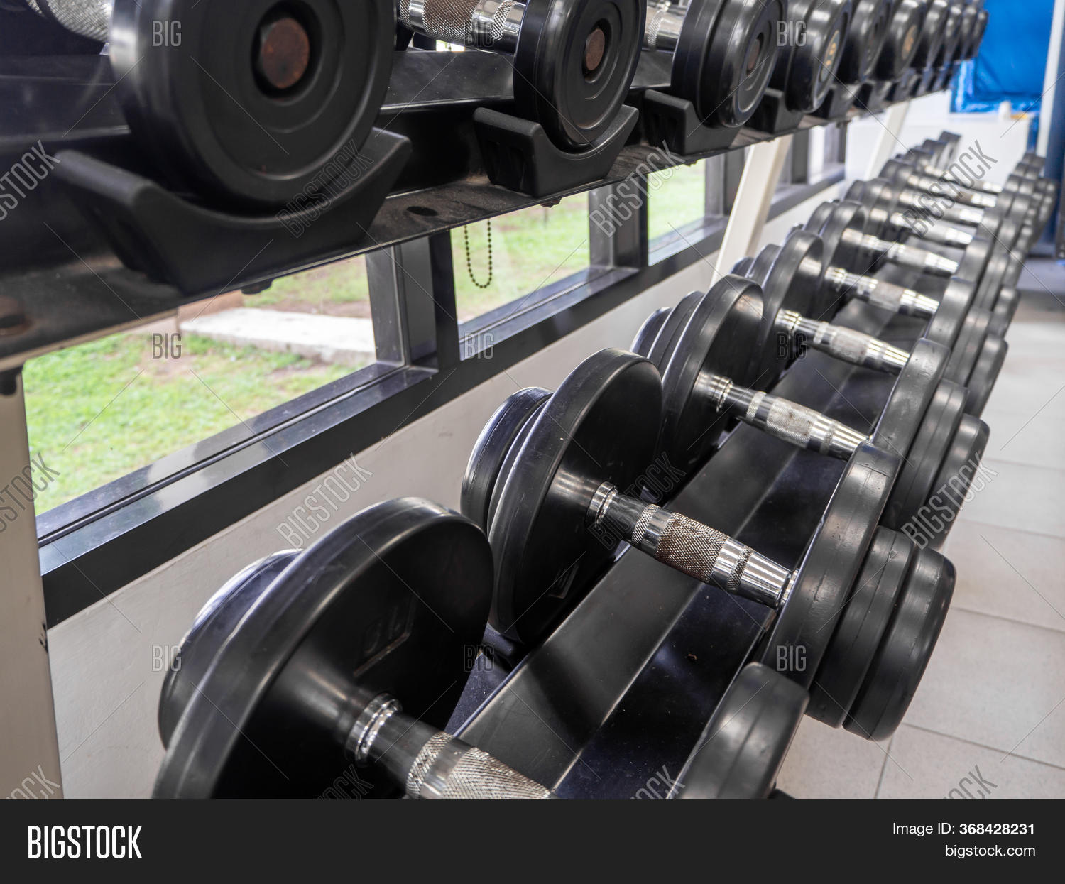 Dumbbell Set. Close Image & Photo (Free Trial) | Bigstock
