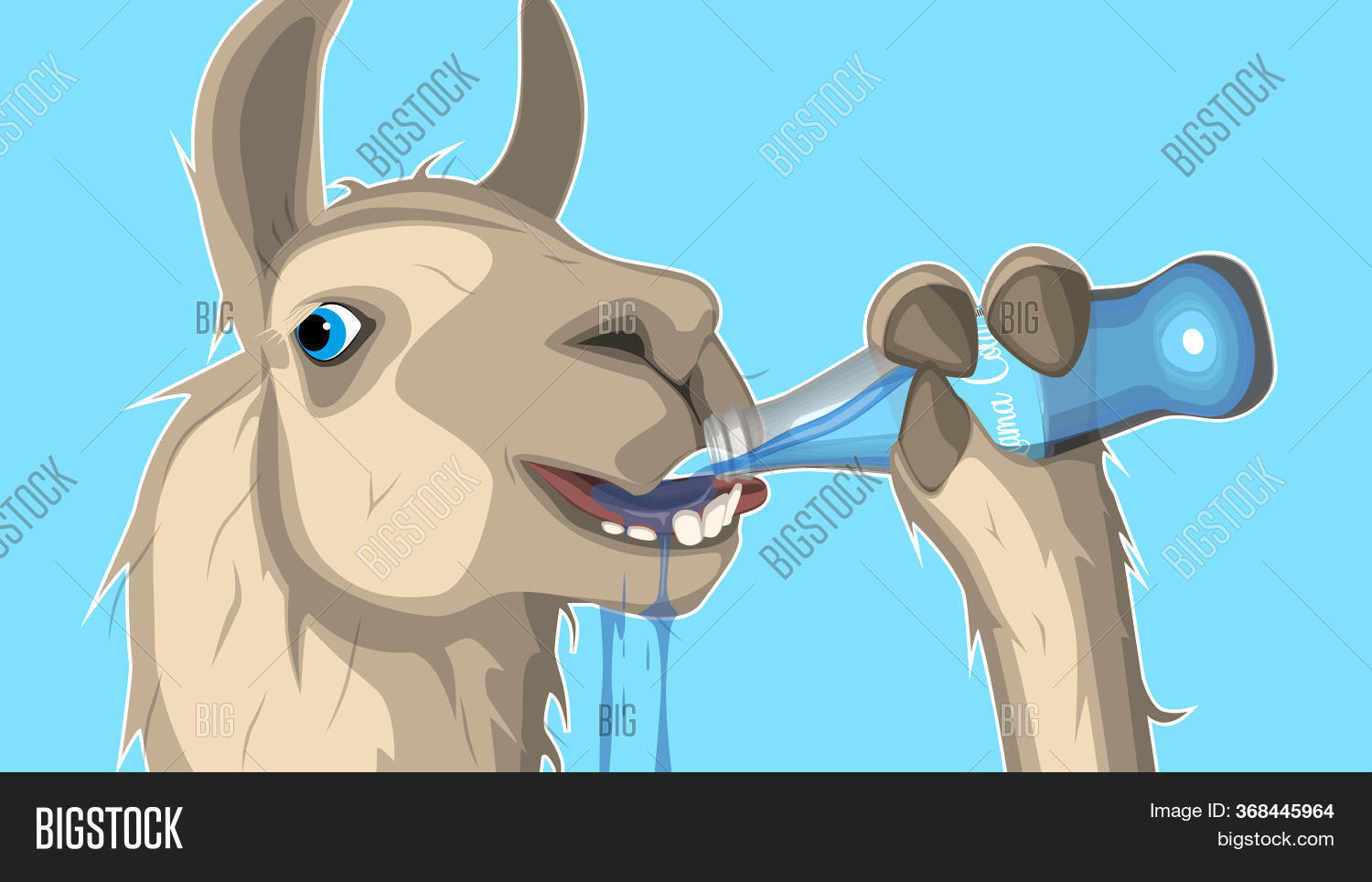 Llama Drinks Image & Photo (Free Trial) | Bigstock
