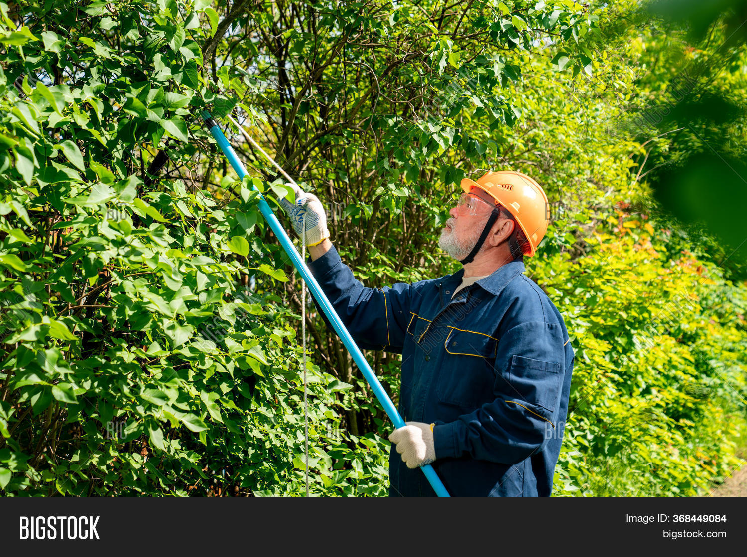 Male Farmer Gardener Image & Photo (Free Trial) | Bigstock