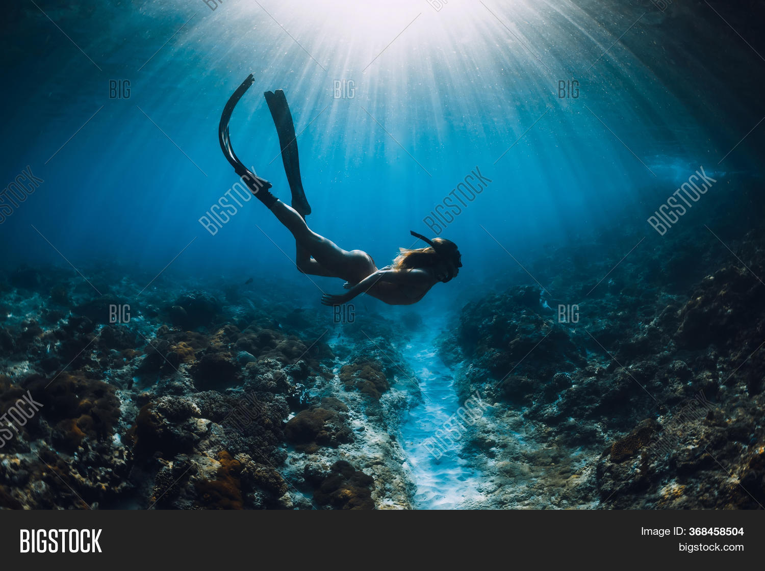 Young Freediver Woman Image & Photo (Free Trial) | Bigstock