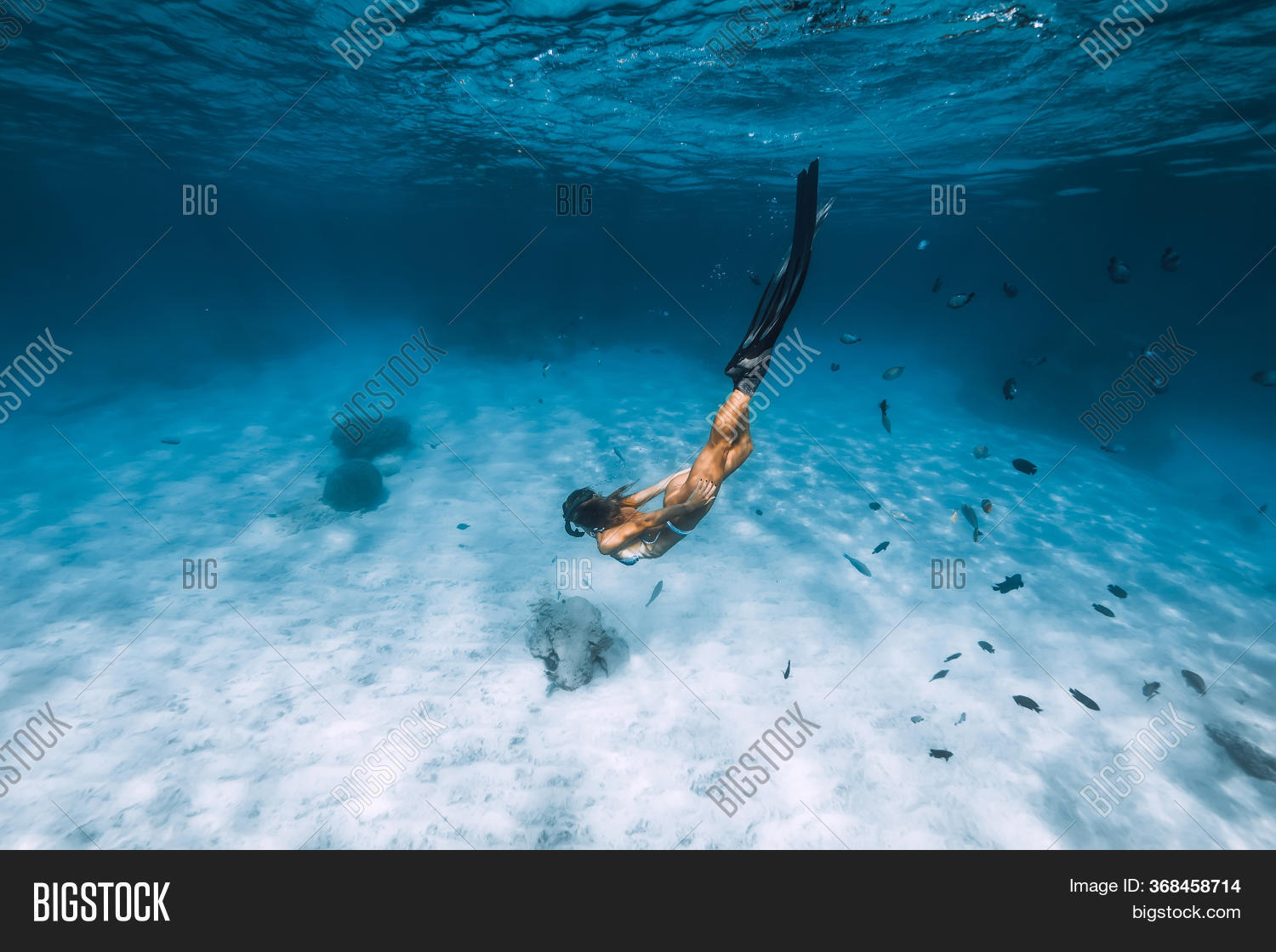 Freediver Girl Bikini Image & Photo (Free Trial) | Bigstock