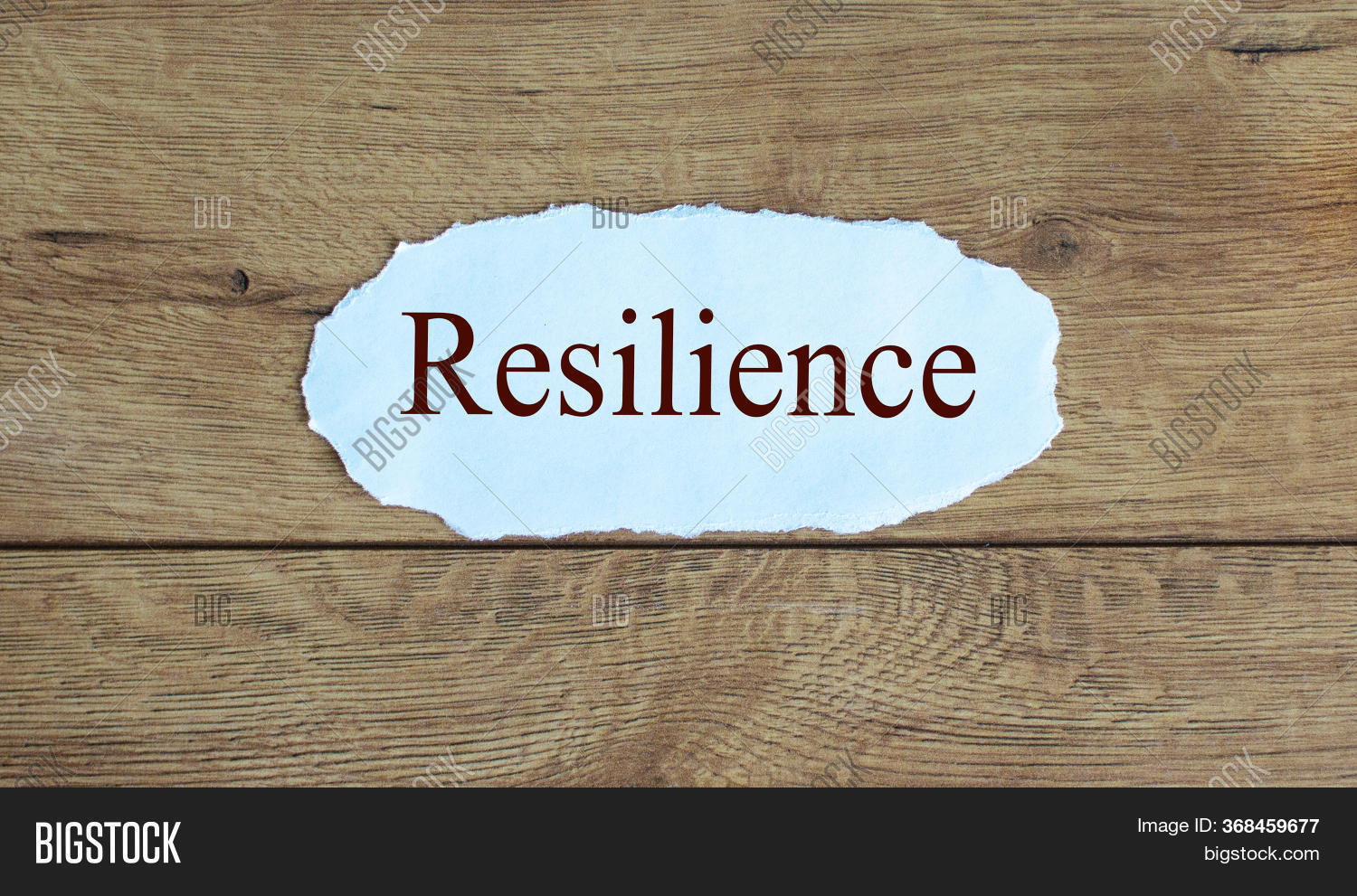 Text 'resilience' On Image & Photo (Free Trial) | Bigstock