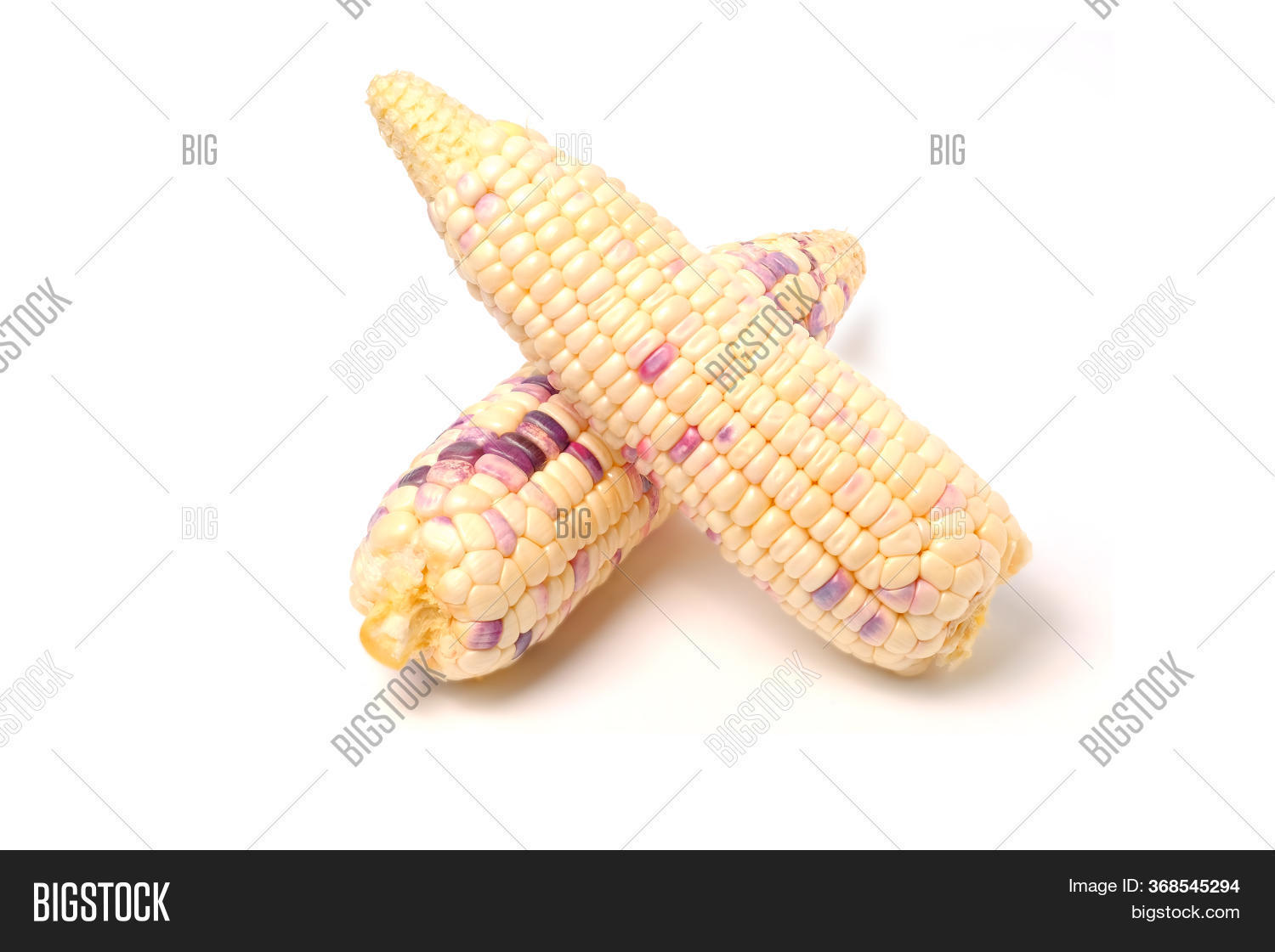 White Sweet Corn Image & Photo (Free Trial) | Bigstock
