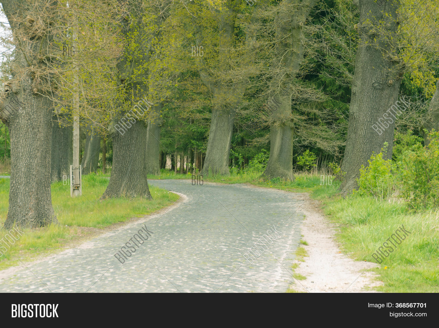 Rural, Narrow, Paved Image & Photo (Free Trial) | Bigstock