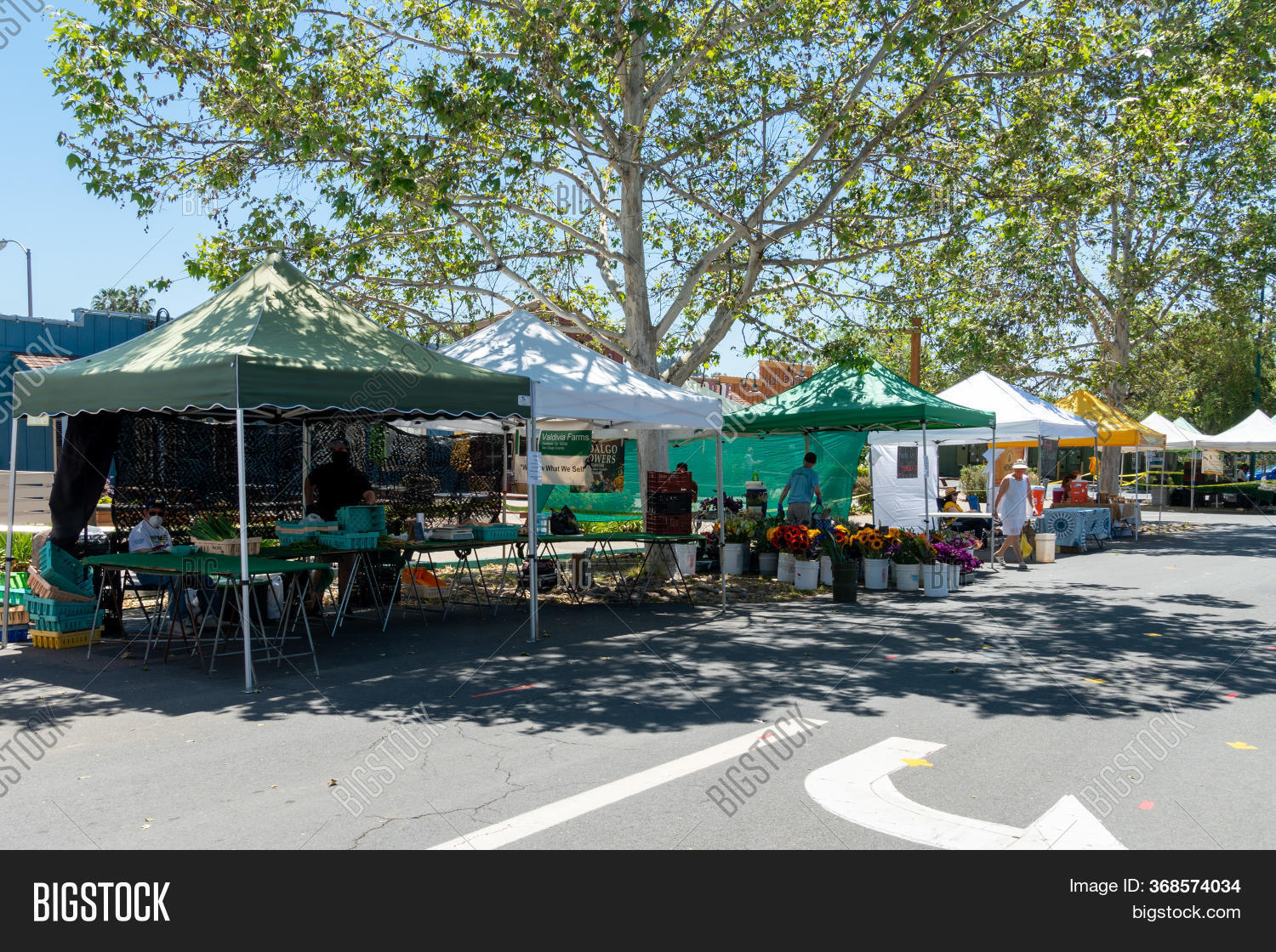 Poway Farmer Market Image & Photo (Free Trial) | Bigstock