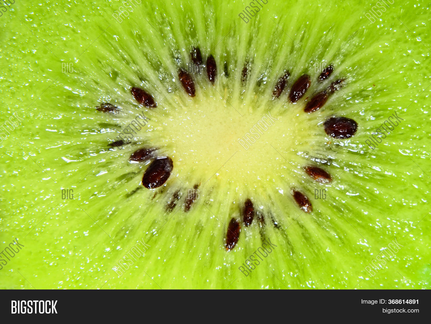 Slice Kiwi Fruit On Image & Photo (Free Trial) | Bigstock