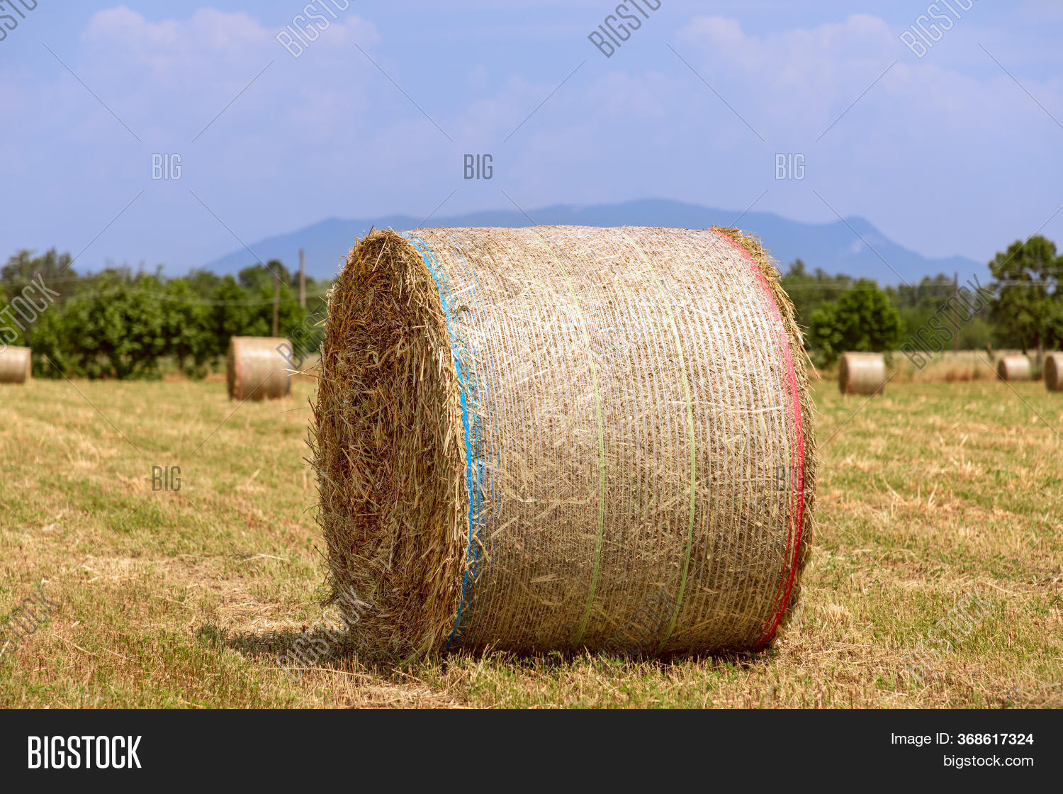 Hay Rolls On Village Image & Photo (Free Trial) | Bigstock