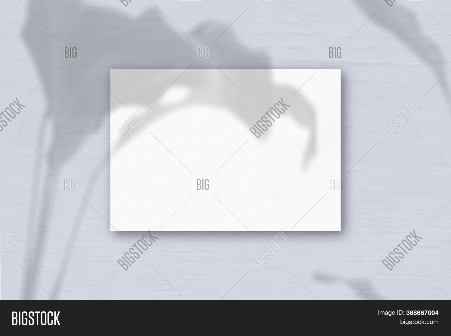 Horizontal A4 Sheet Image & Photo (Free Trial) | Bigstock