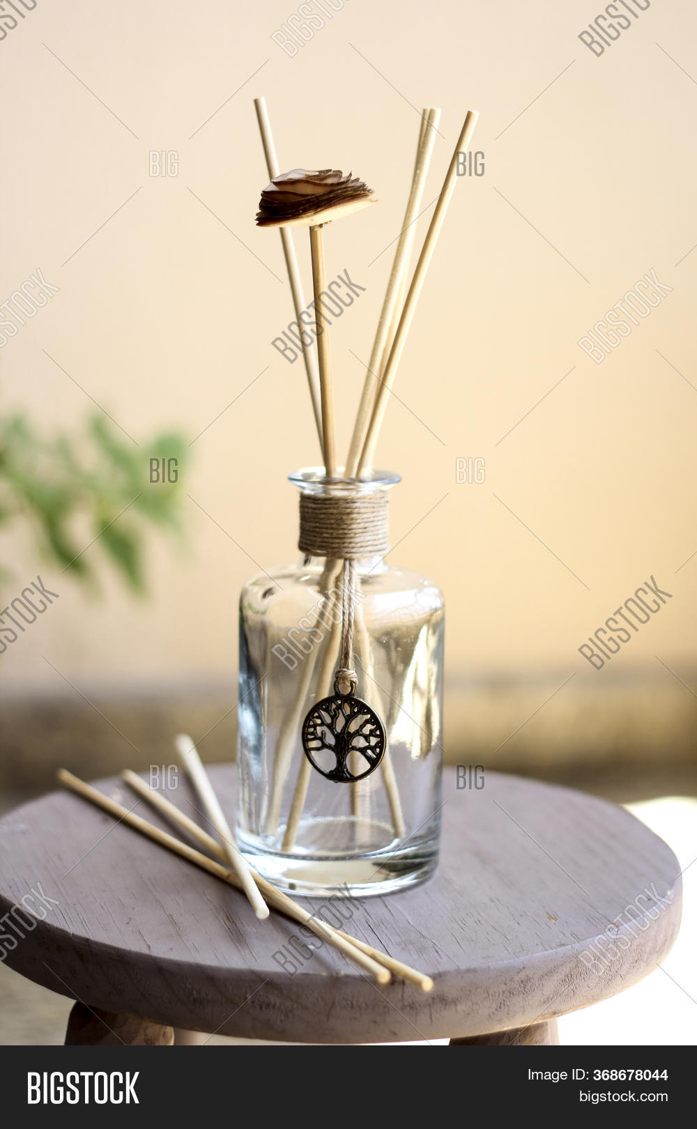 Aromatic Air Freshener Image & Photo (Free Trial) | Bigstock