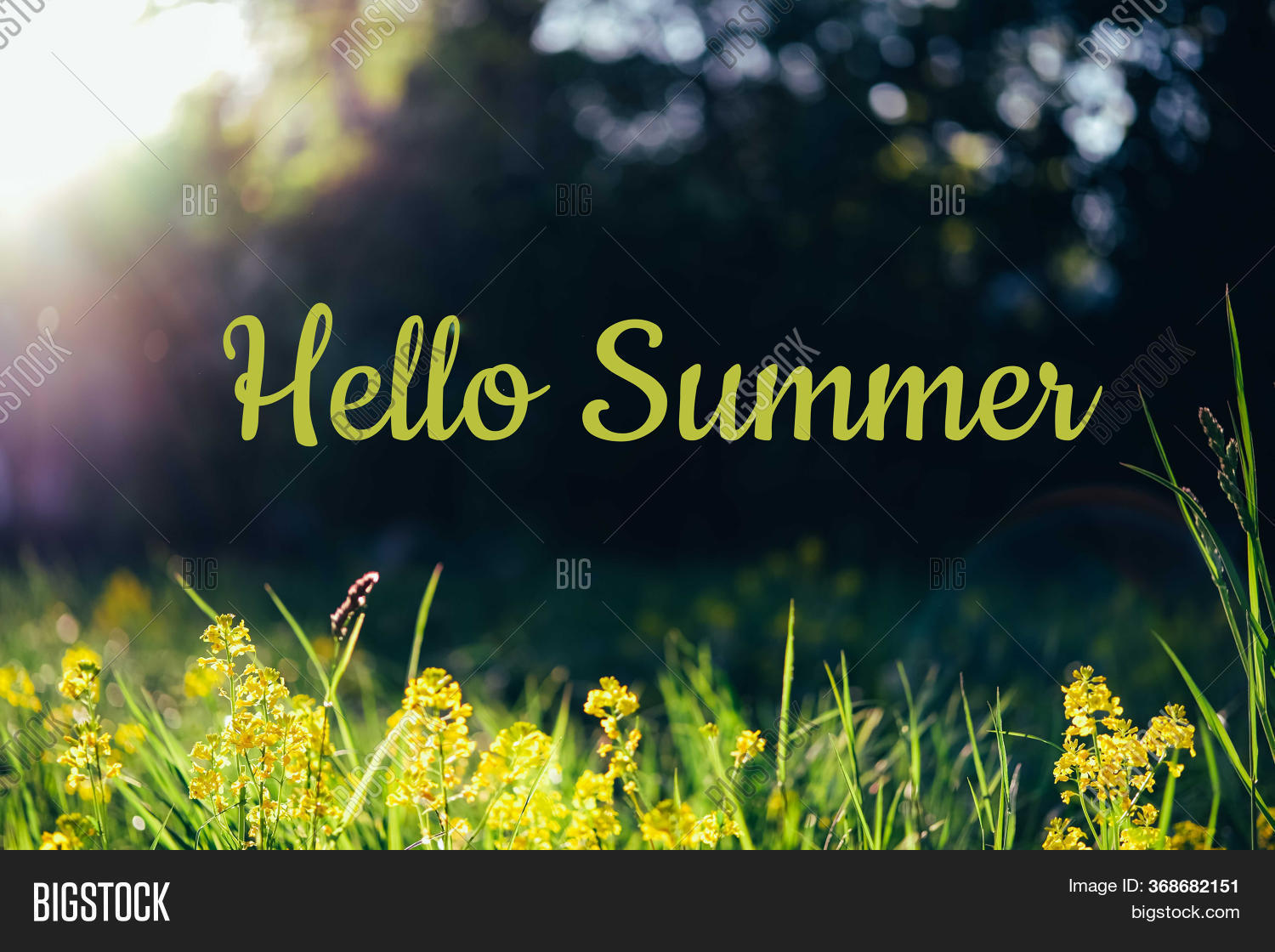 Amazing Sunny Day Image & Photo (Free Trial) | Bigstock