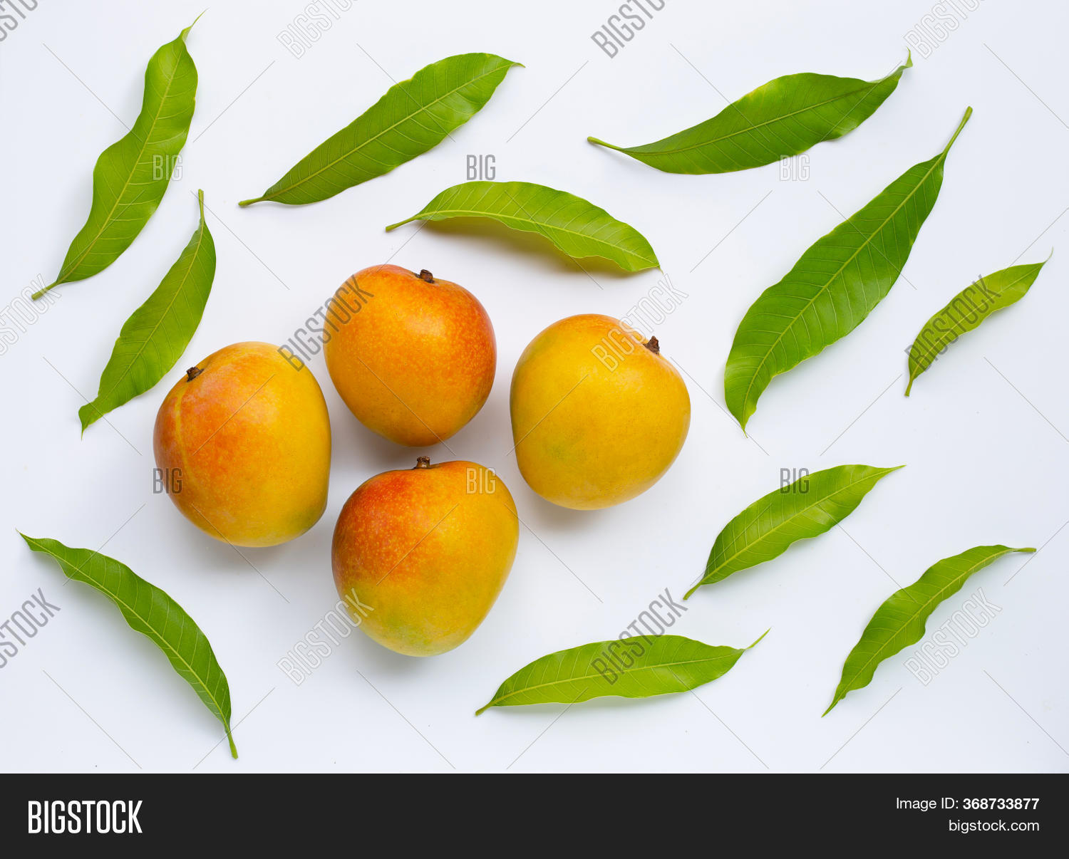 Mango, Tropical Fruit Image & Photo (Free Trial) | Bigstock