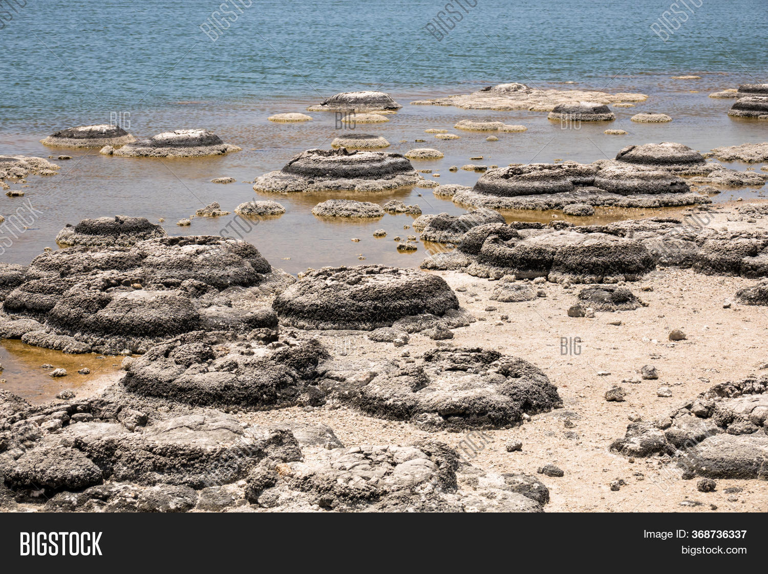 Image Stromatolites Image & Photo (Free Trial) | Bigstock