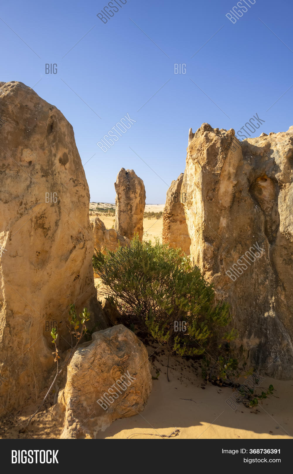 Image Pinnacles Sand Image & Photo (Free Trial) | Bigstock