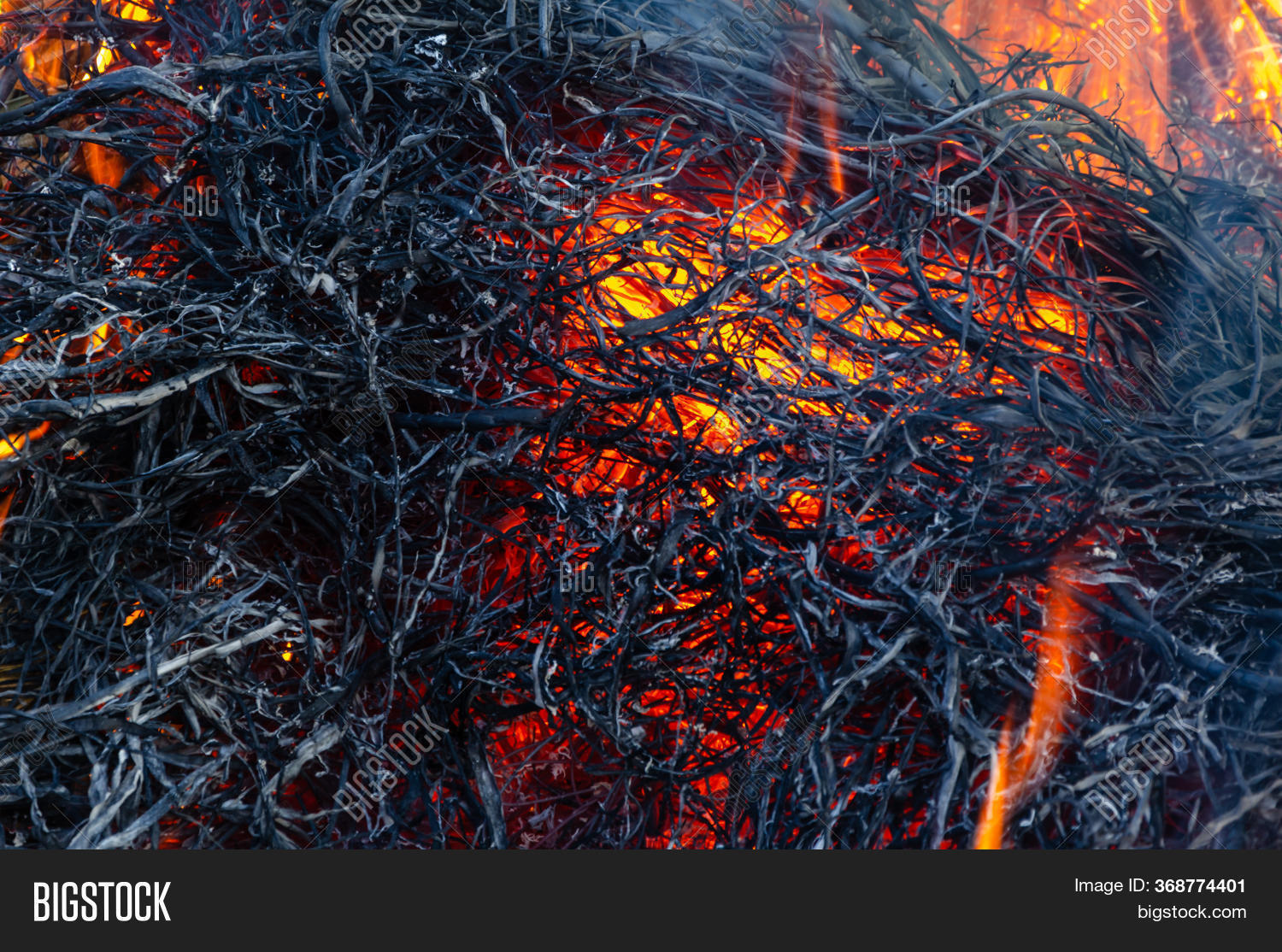 Reeds Burning Fumes Image & Photo (Free Trial) | Bigstock
