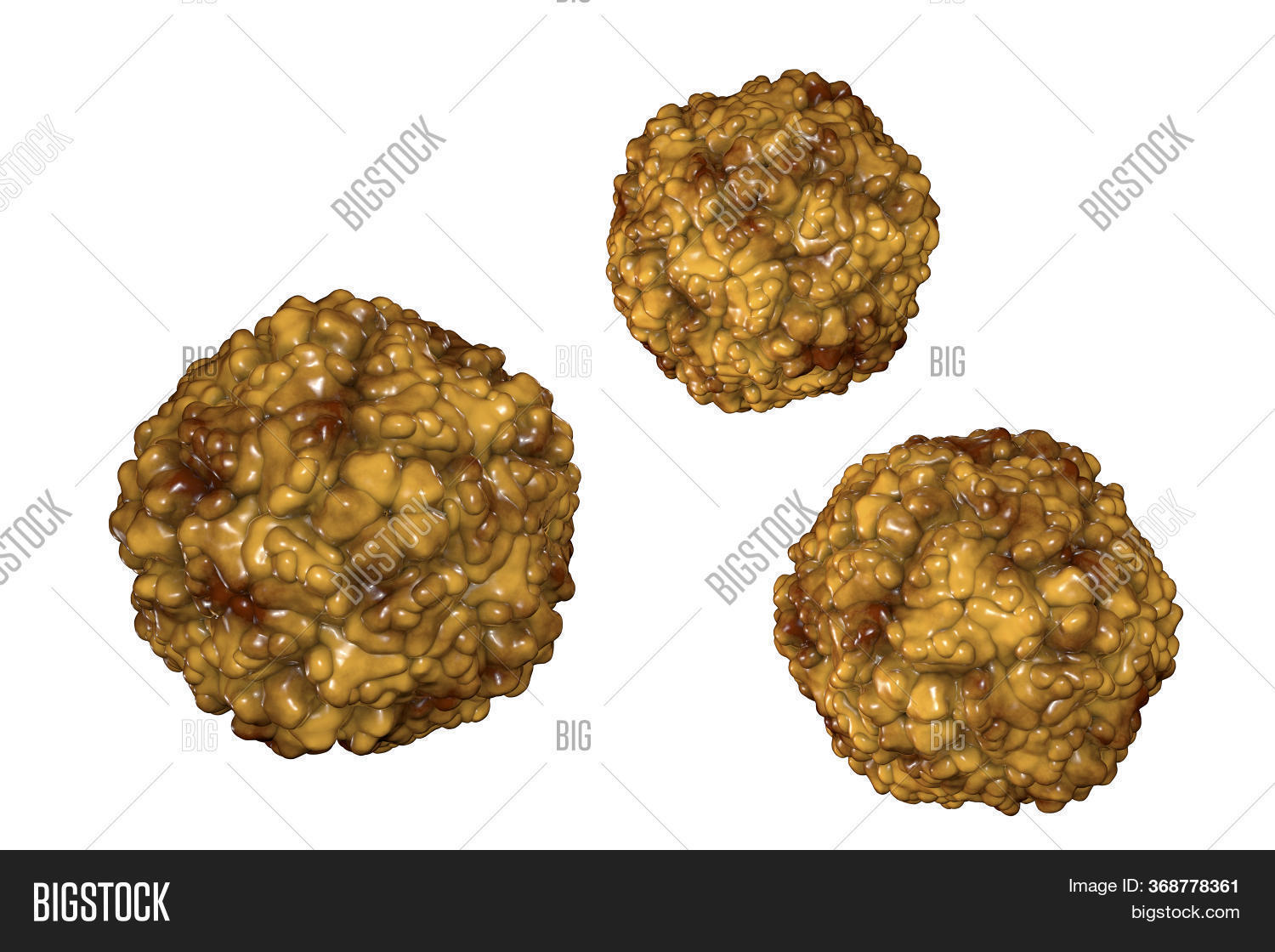 Enteroviruses, Group Image & Photo (Free Trial) | Bigstock