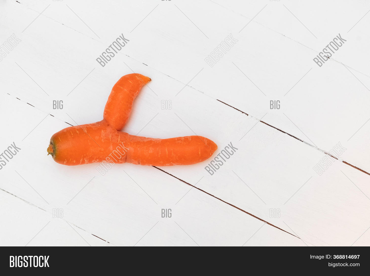 Ugly Carrot Shows Image & Photo (Free Trial) | Bigstock