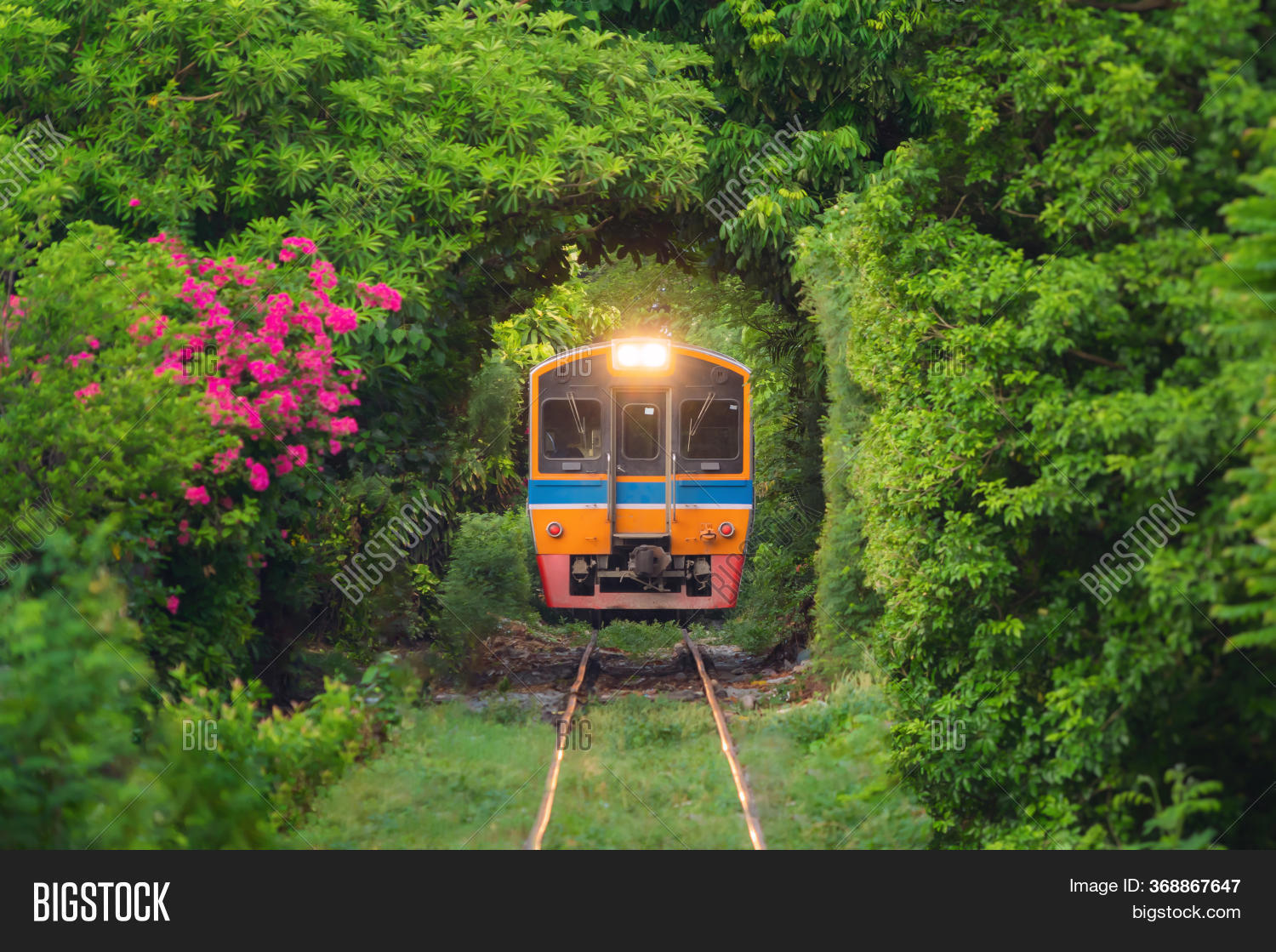 Thai Local Train On Image & Photo (Free Trial) | Bigstock