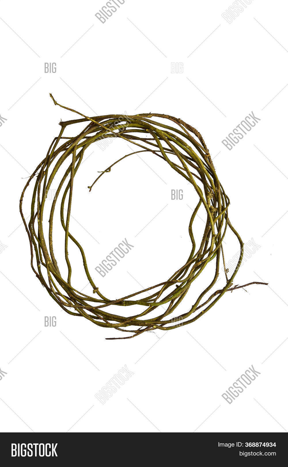 Close Wood Root. Image & Photo (Free Trial) | Bigstock