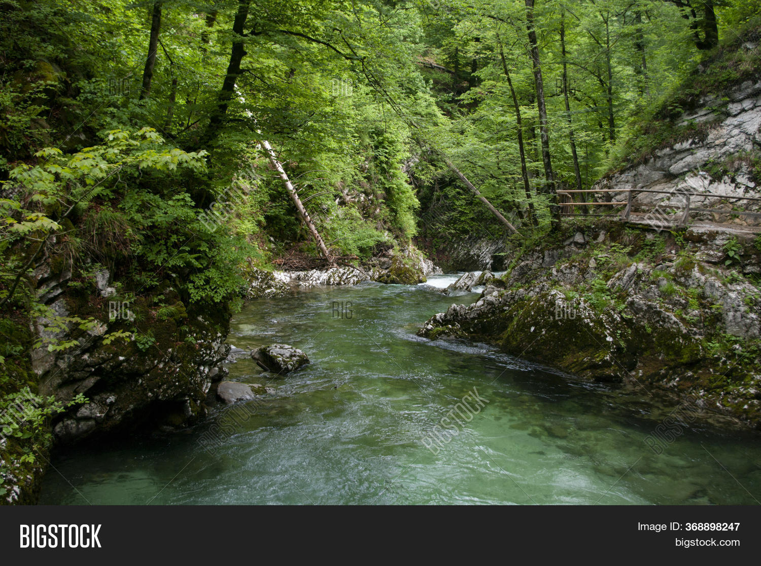 Clean Crystal River Image & Photo (Free Trial) | Bigstock