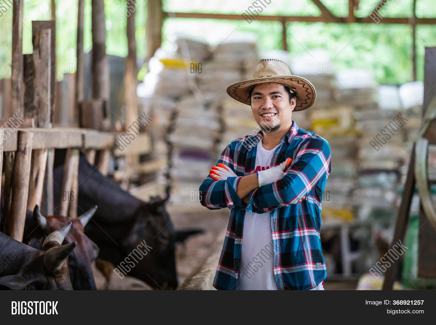 Asian Farmer Wagyu - Image & Photo (Free Trial) | Bigstock