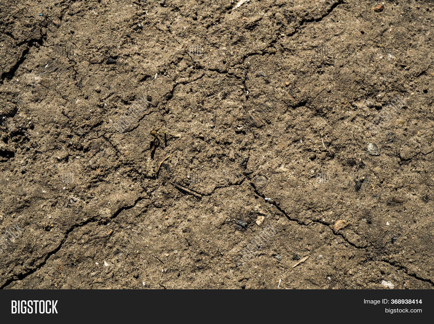 Texture Earth. Image & Photo (Free Trial) | Bigstock
