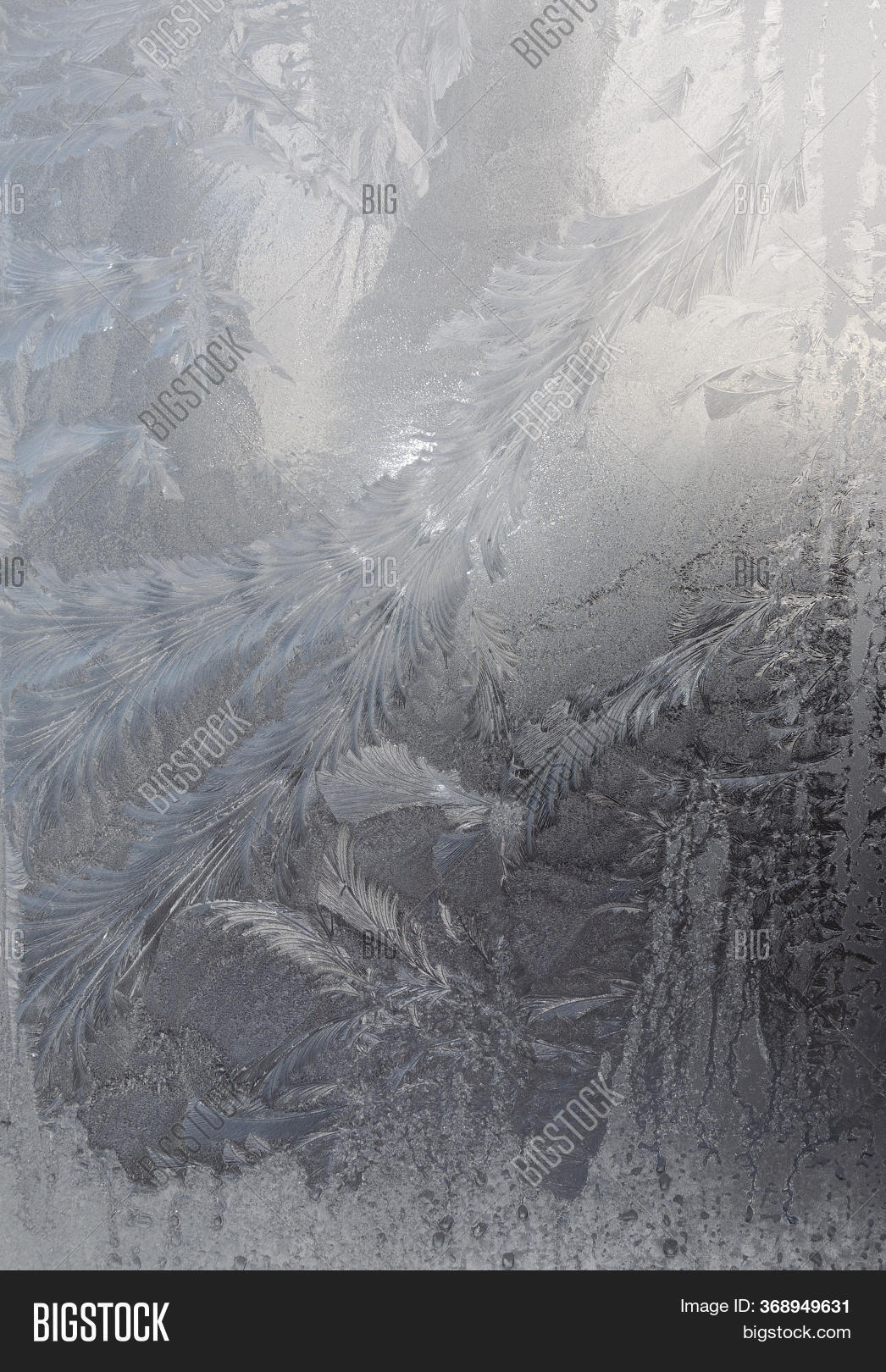 Winter Pattern Frost, Image & Photo (Free Trial) | Bigstock