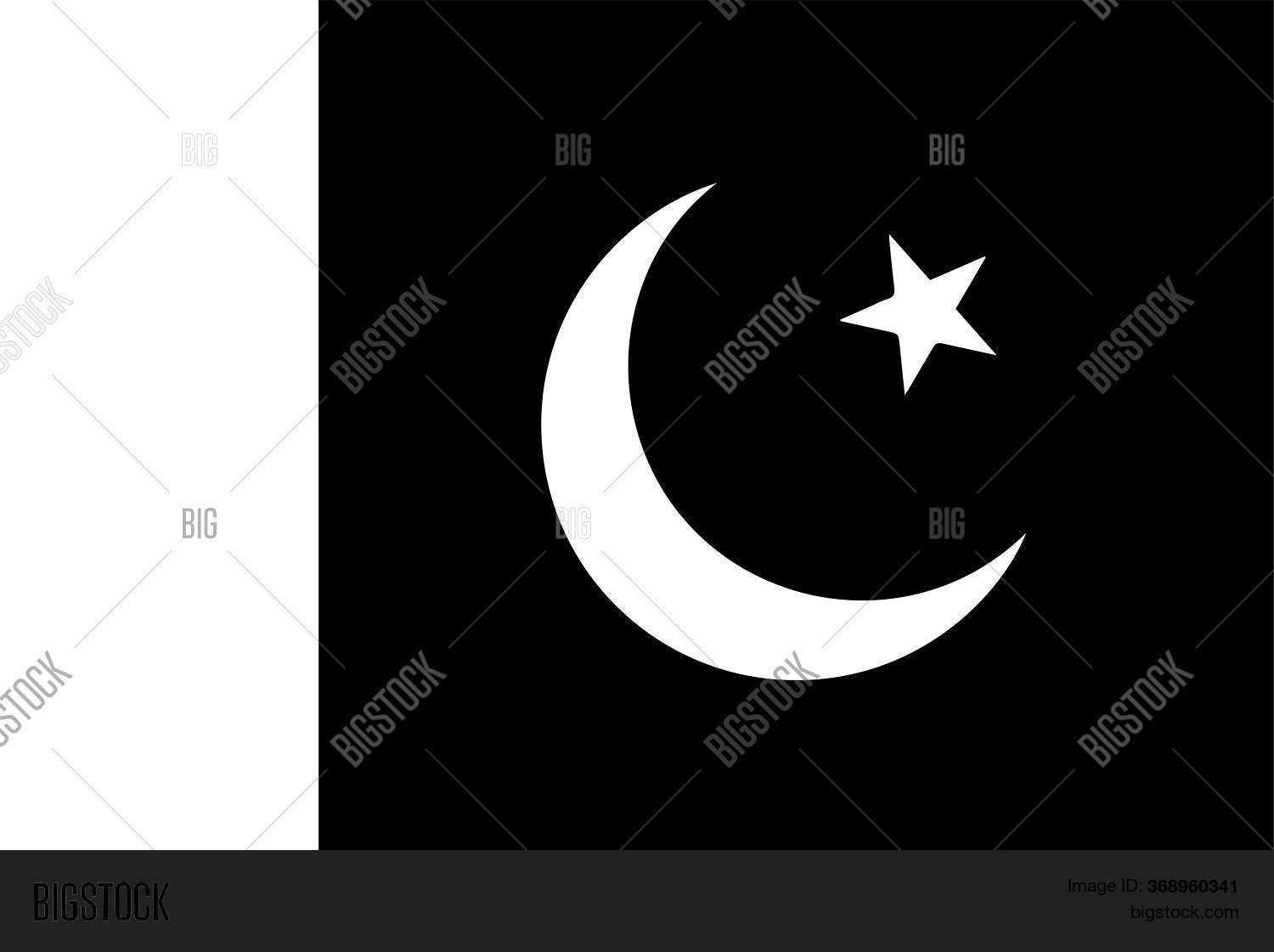 Pakistan Flag Black Vector & Photo (Free Trial) | Bigstock