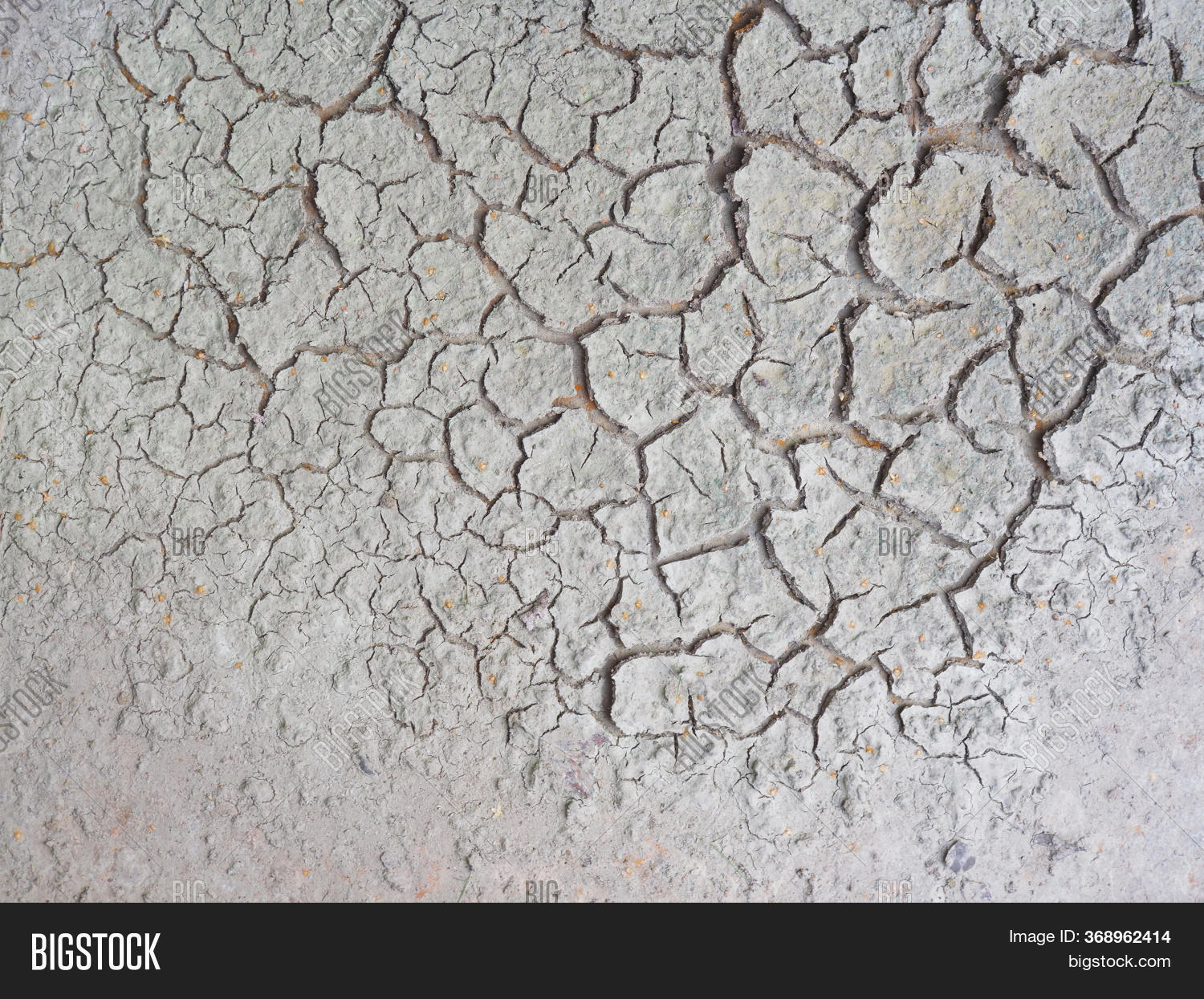 Cracked Crust Dried Image & Photo (Free Trial) | Bigstock