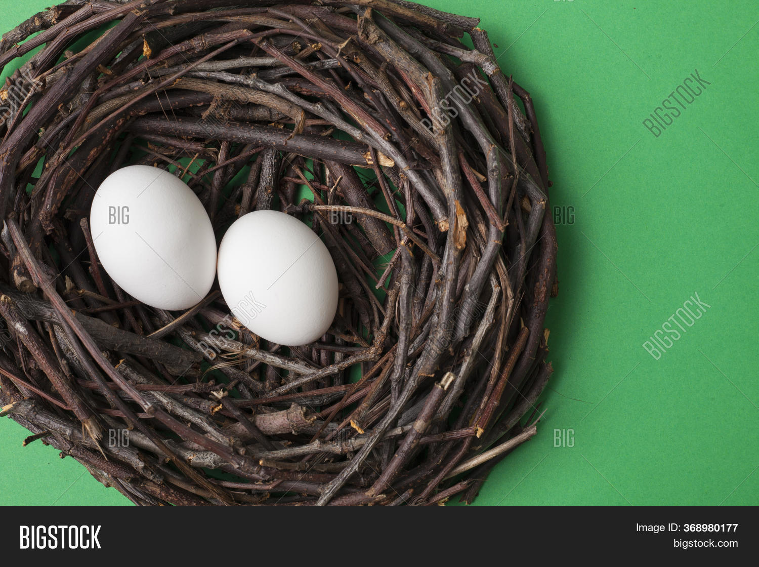 Bird Nest Eggs Image & Photo (Free Trial) | Bigstock