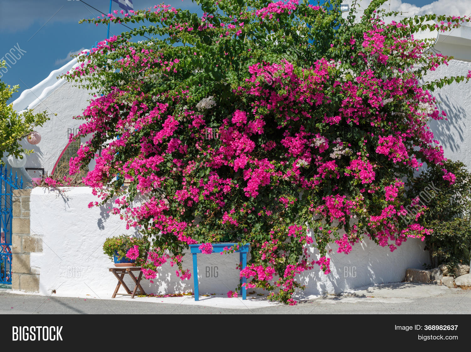 Large Lush Red Image & Photo (Free Trial) | Bigstock