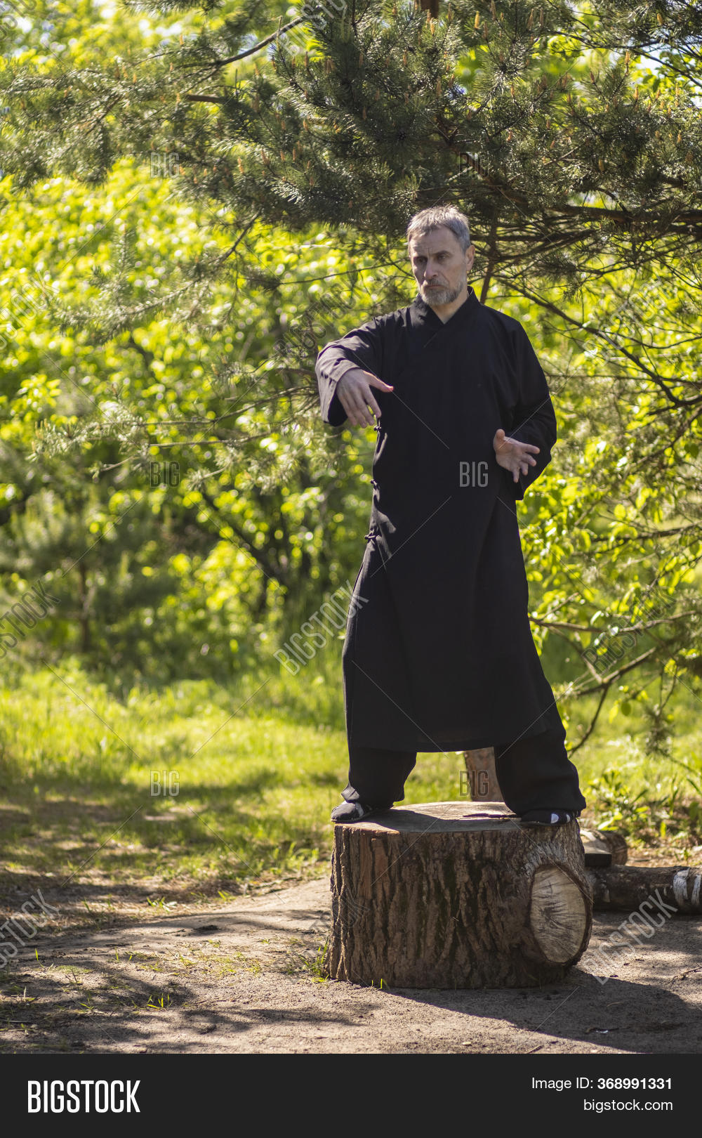 Male Tai Chi Master Image & Photo (Free Trial) | Bigstock