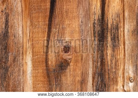 Wood Texture. Tree Image & Photo (Free Trial) | Bigstock