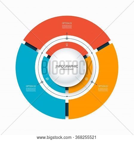 Infographic Circular Vector & Photo (Free Trial) | Bigstock