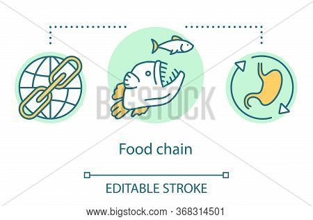 Food Chain Concept Vector & Photo (Free Trial) | Bigstock