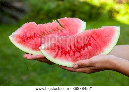 Hands Holding Tasty Image & Photo (Free Trial) | Bigstock