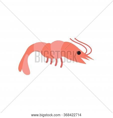 Shrimp Graphic Design Vector & Photo (Free Trial) | Bigstock