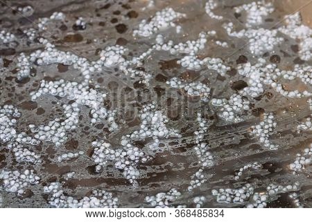 Close Hailing, Image & Photo (Free Trial) | Bigstock