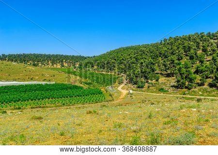 Landscape Countryside Image & Photo (Free Trial) | Bigstock