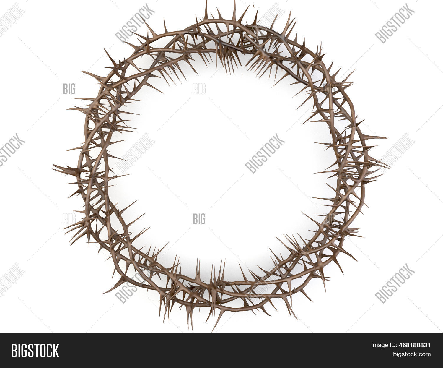 Branches Thorns Woven Image & Photo (Free Trial) | Bigstock