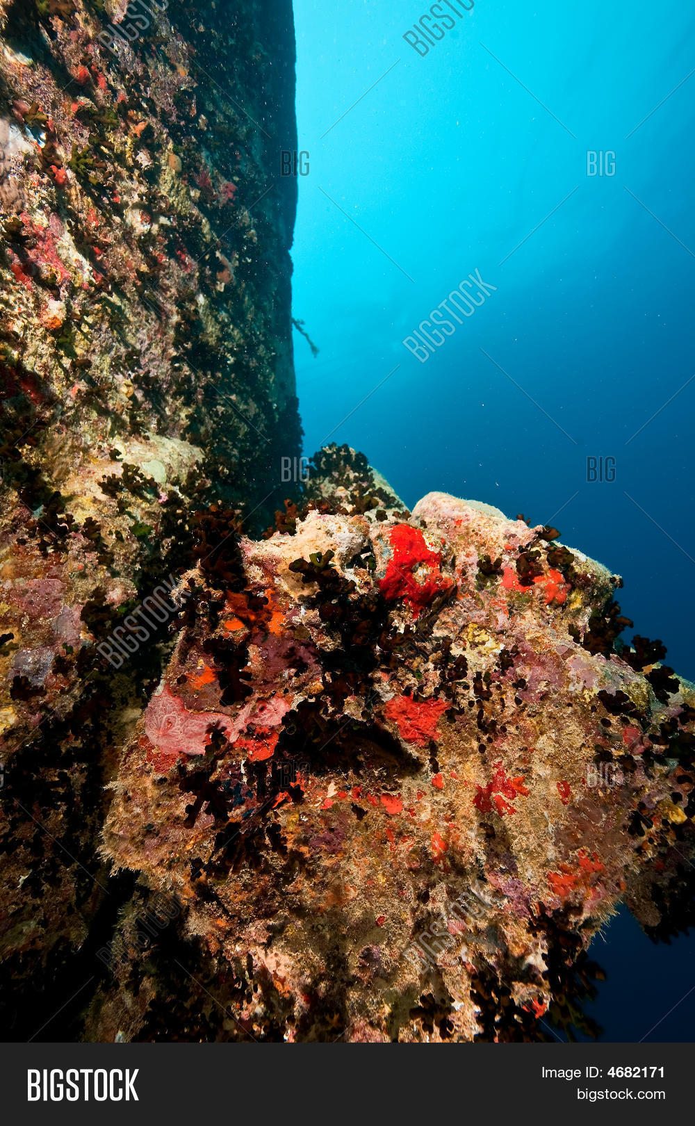 Port Side Hill Anchor Image & Photo (Free Trial) | Bigstock