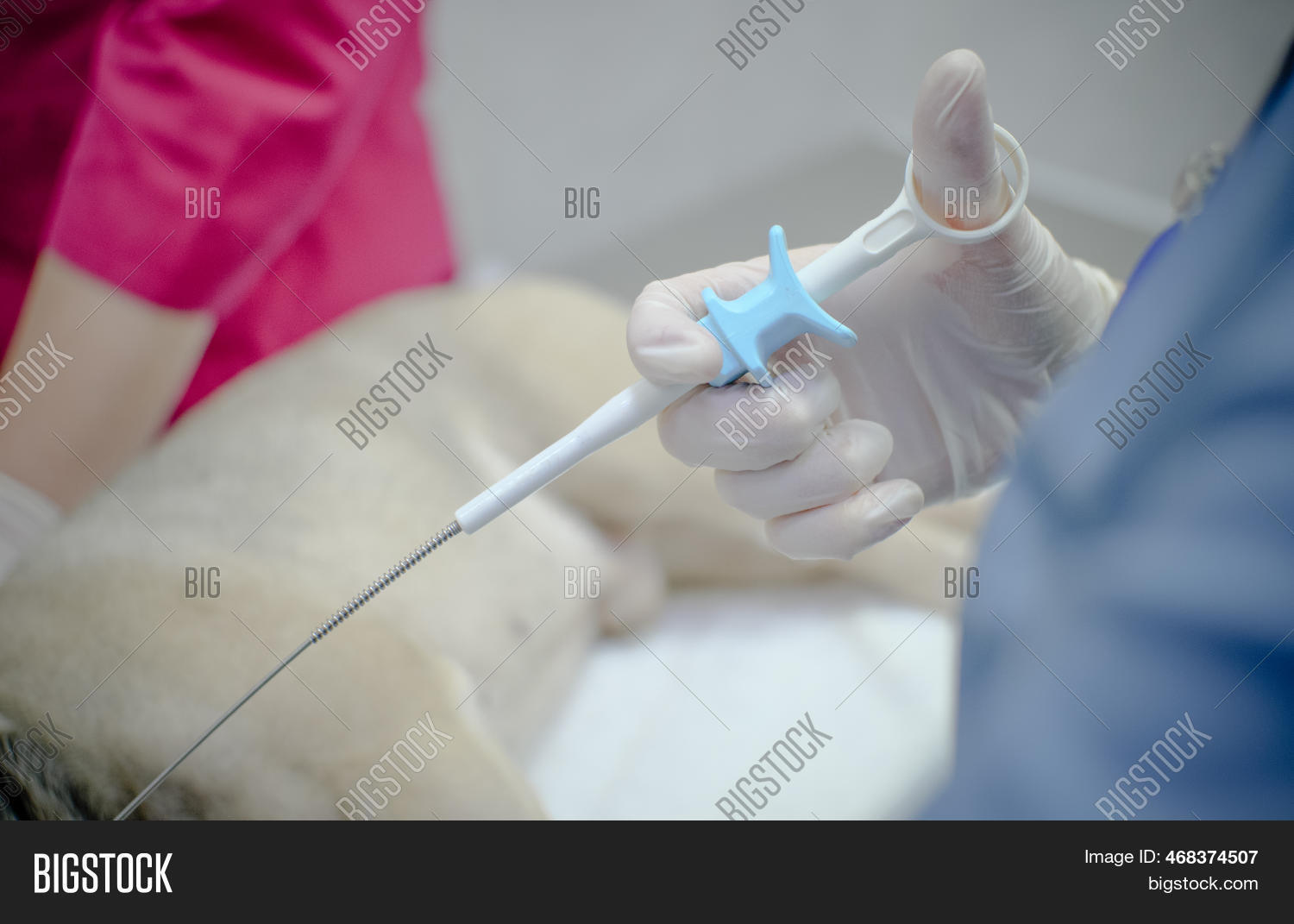 Assistants Hand Image & Photo (Free Trial) | Bigstock