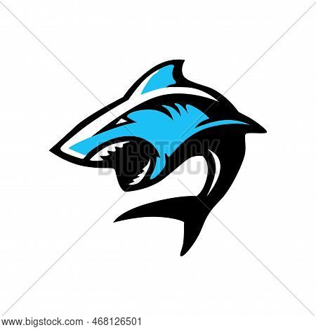 Fierce Shark Logo Vector & Photo (Free Trial) | Bigstock