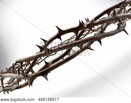 Branches Thorns Woven Image & Photo (Free Trial) | Bigstock