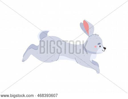 Furry Rabbit Running Vector & Photo (Free Trial) | Bigstock
